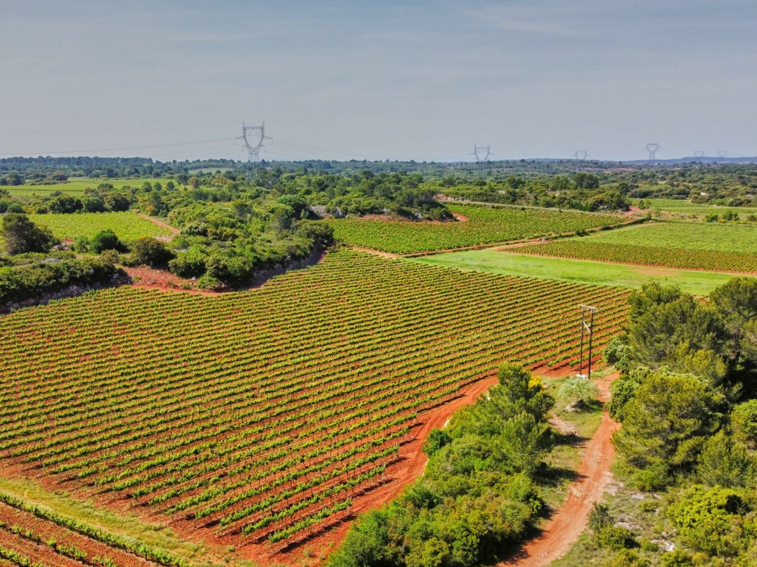 La BODEGA DE SAINT-CHINIAN: donde el vino se une con el arte