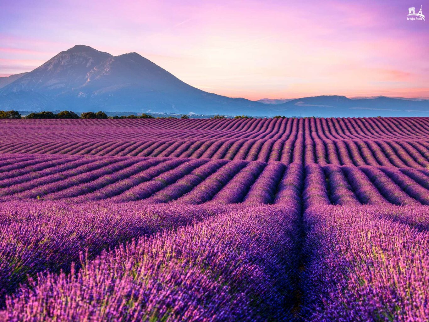 Qué ver en la PROVENZA FRANCESA: lugares, itinerario y mapa